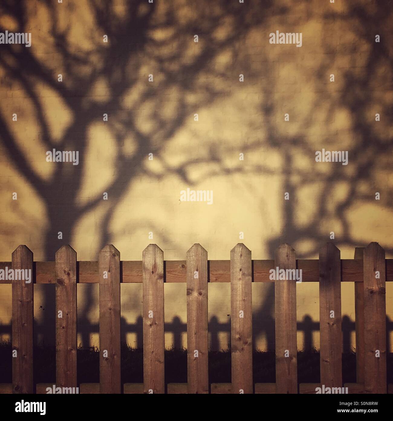 Shadows on garden fence hi-res stock photography and images - Alamy