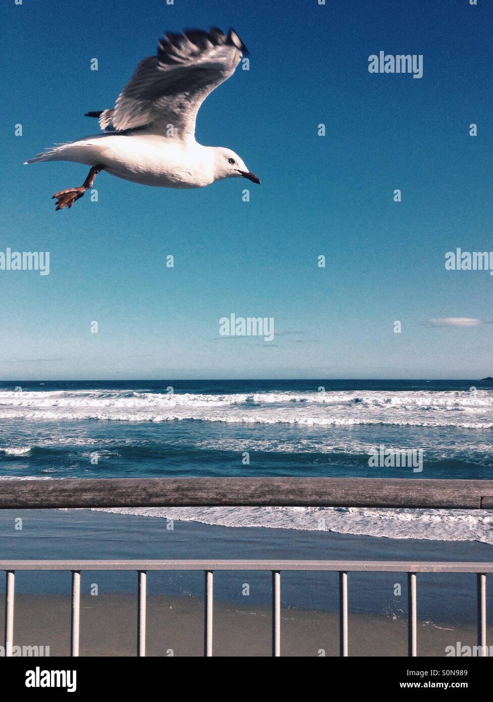 Fly ramp hi-res stock photography and images - Alamy