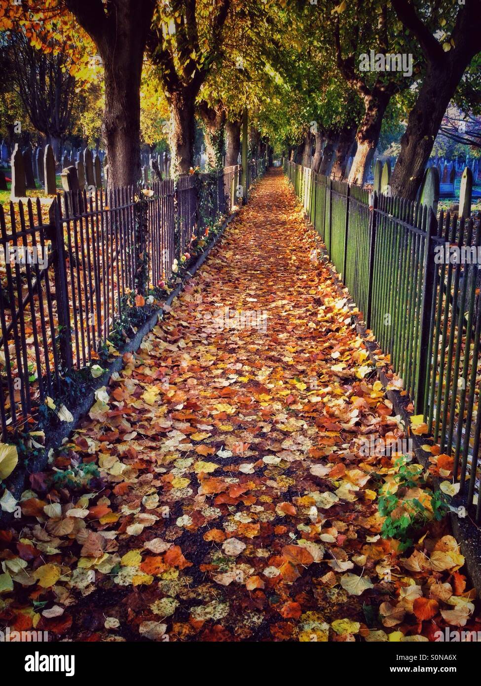 Tottenham cemetery hi-res stock photography and images - Alamy