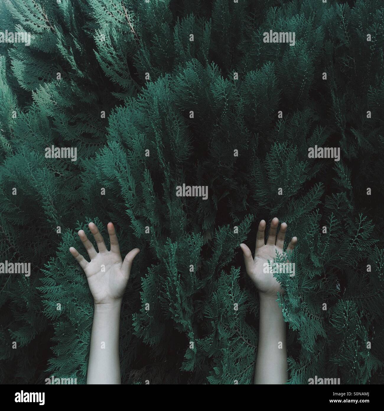 Soft intimacy hi-res stock photography and images - Alamy