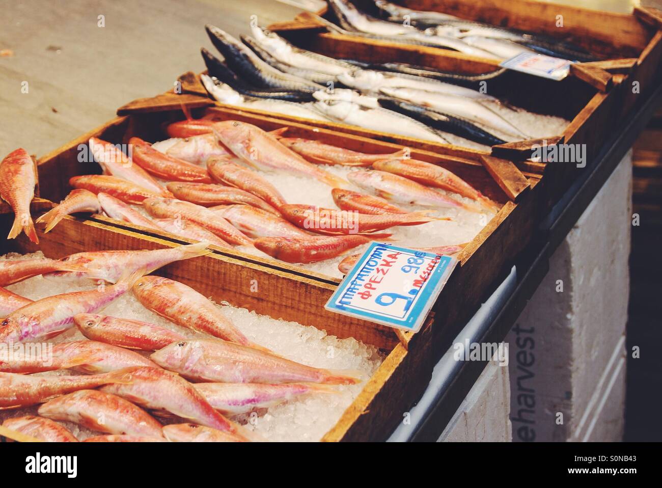 Fresh fish at the Farmers market Stock Photo - Alamy