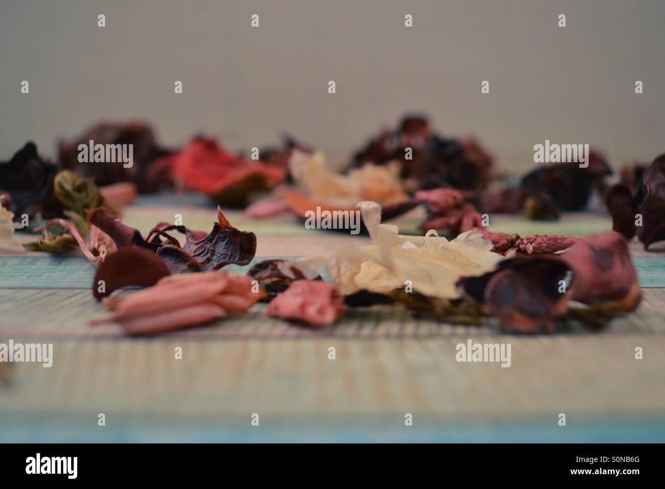 Potpourri Flowers High Resolution Stock Photography and Images - Alamy