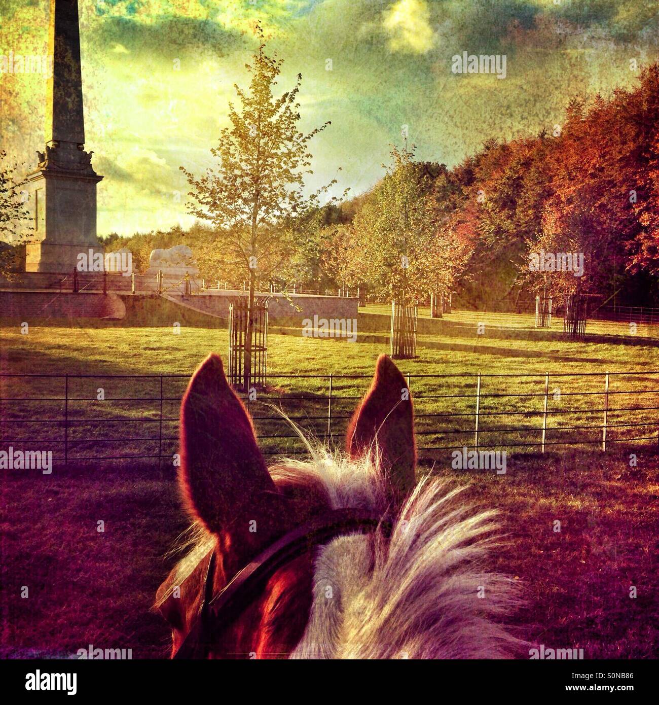 Tusmore High Resolution Stock Photography and Images - Alamy