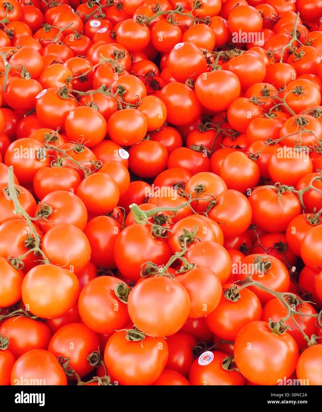 Squashed tomato hi-res stock photography and images - Alamy