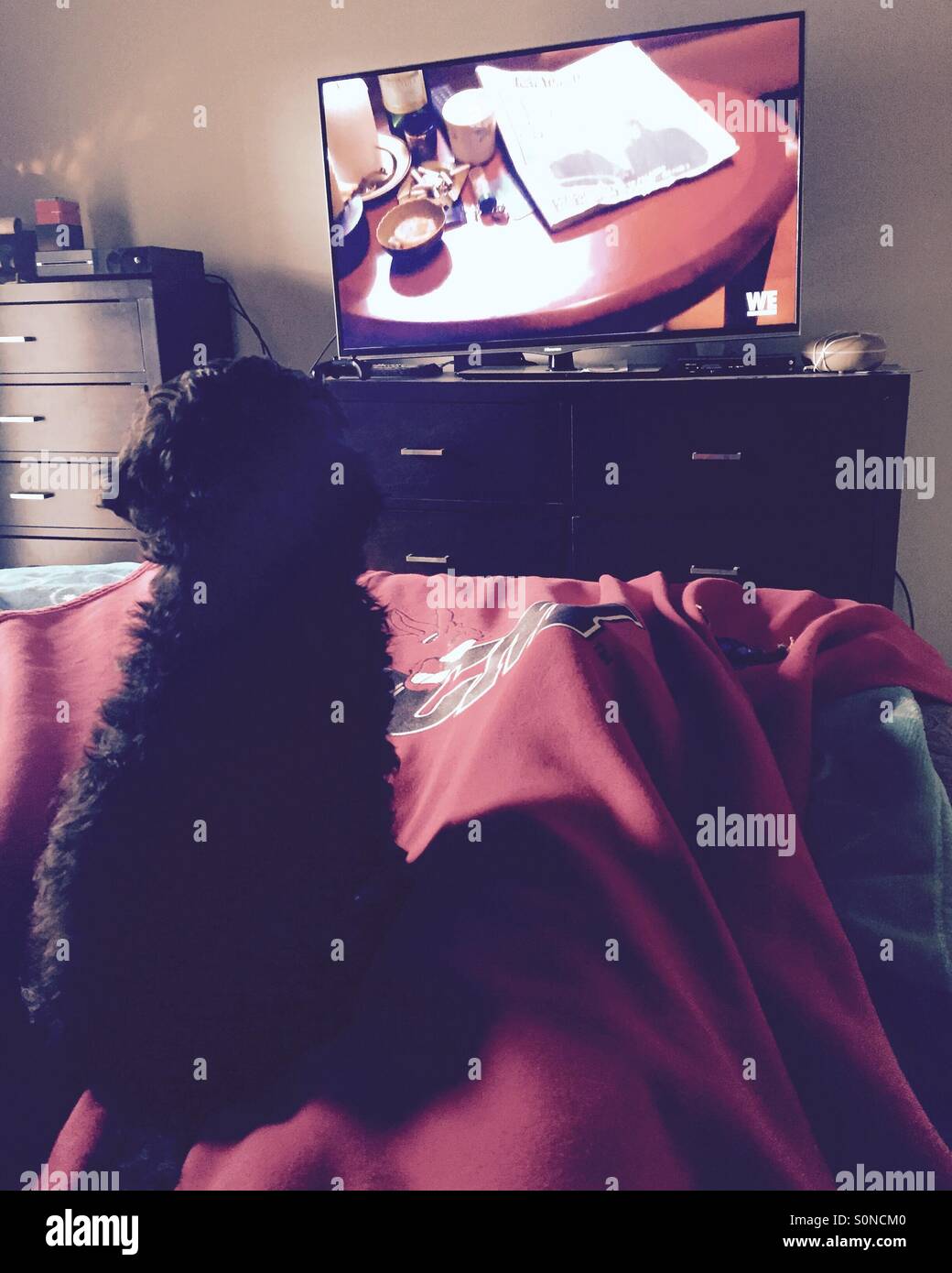 Mornings hi-res stock photography and images - Alamy