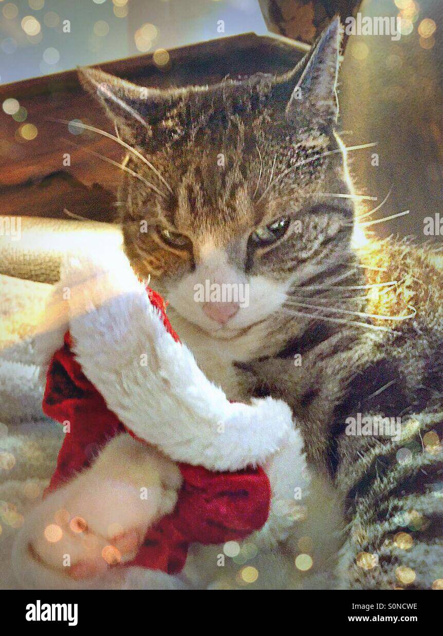 no"... smile Stock Photo - Alamy
