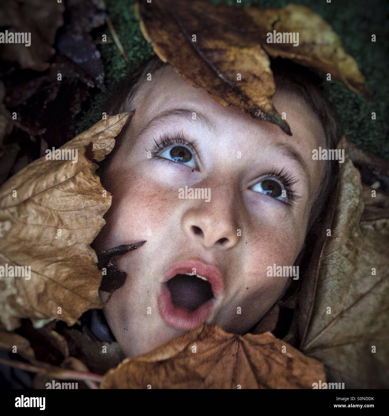 Portrait of surprise boy covered in autumn leaves Stock Photo - Alamy