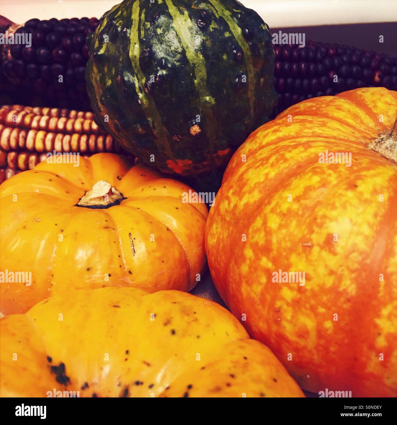 Indian squash hi-res stock photography and images - Alamy