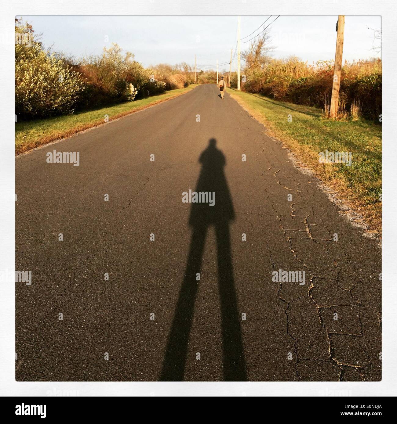 Walk in the fall hi-res stock photography and images - Alamy