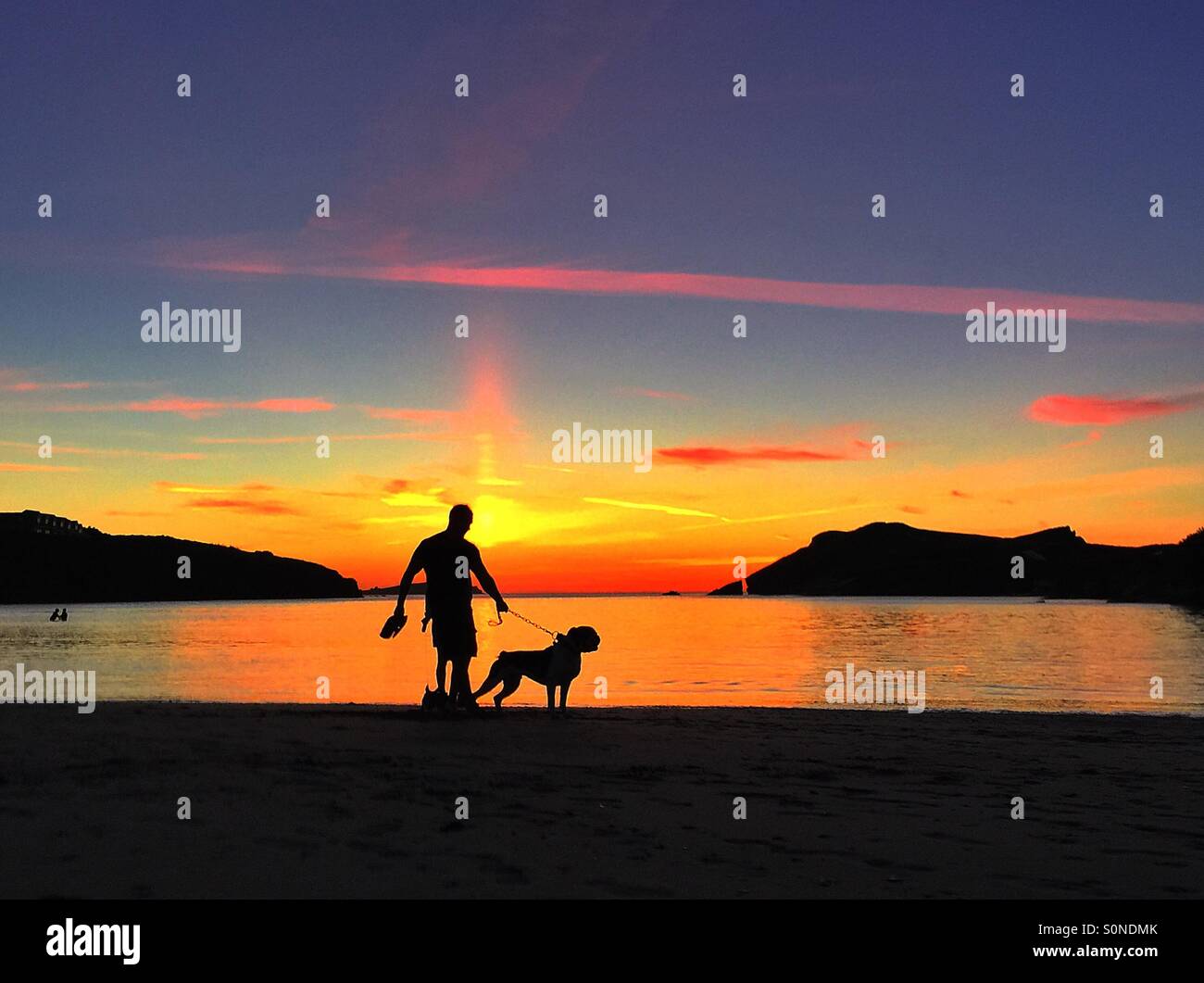 Sunset dog walks Stock Photo - Alamy