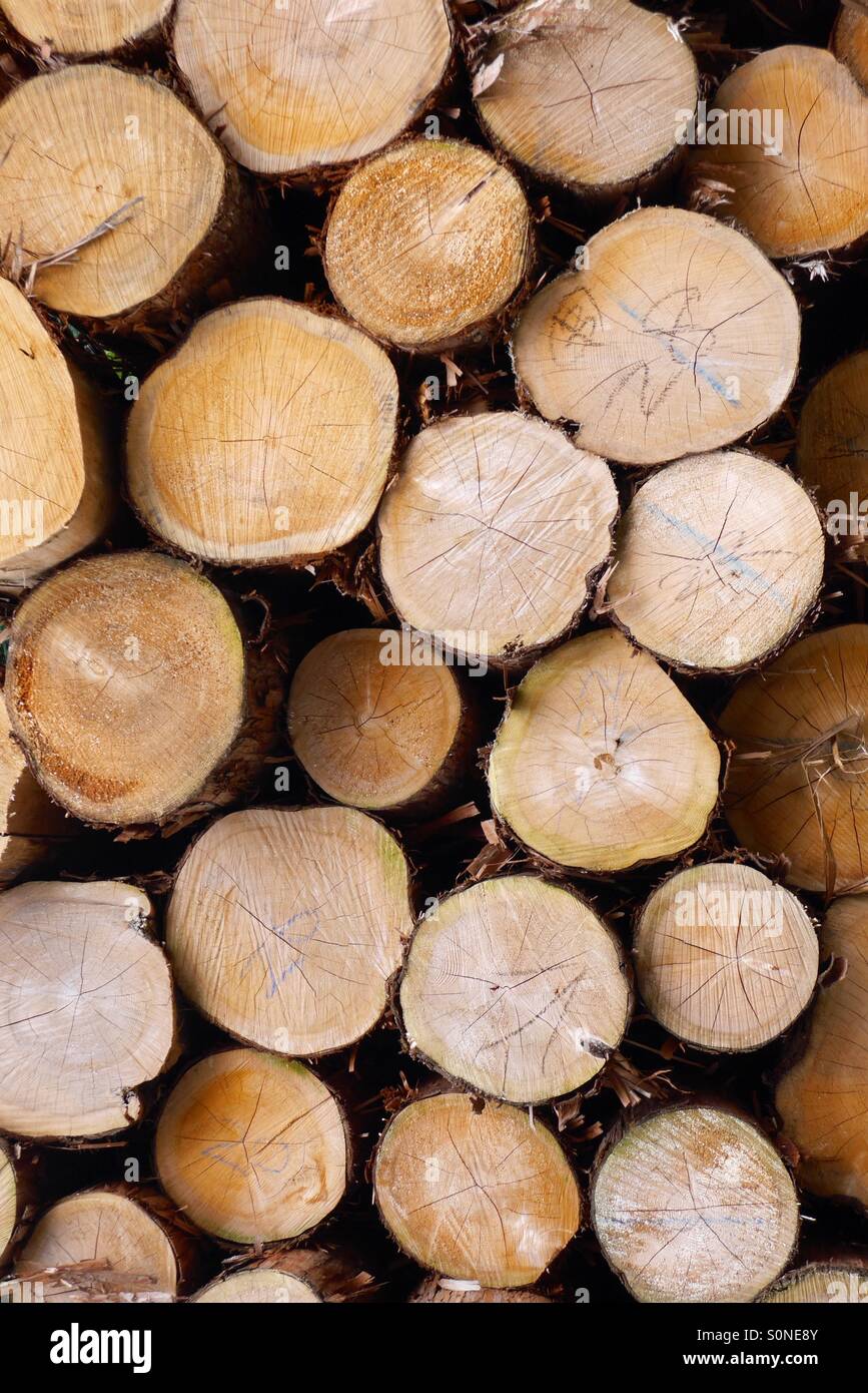Pile of logs in Japan Stock Photo - Alamy
