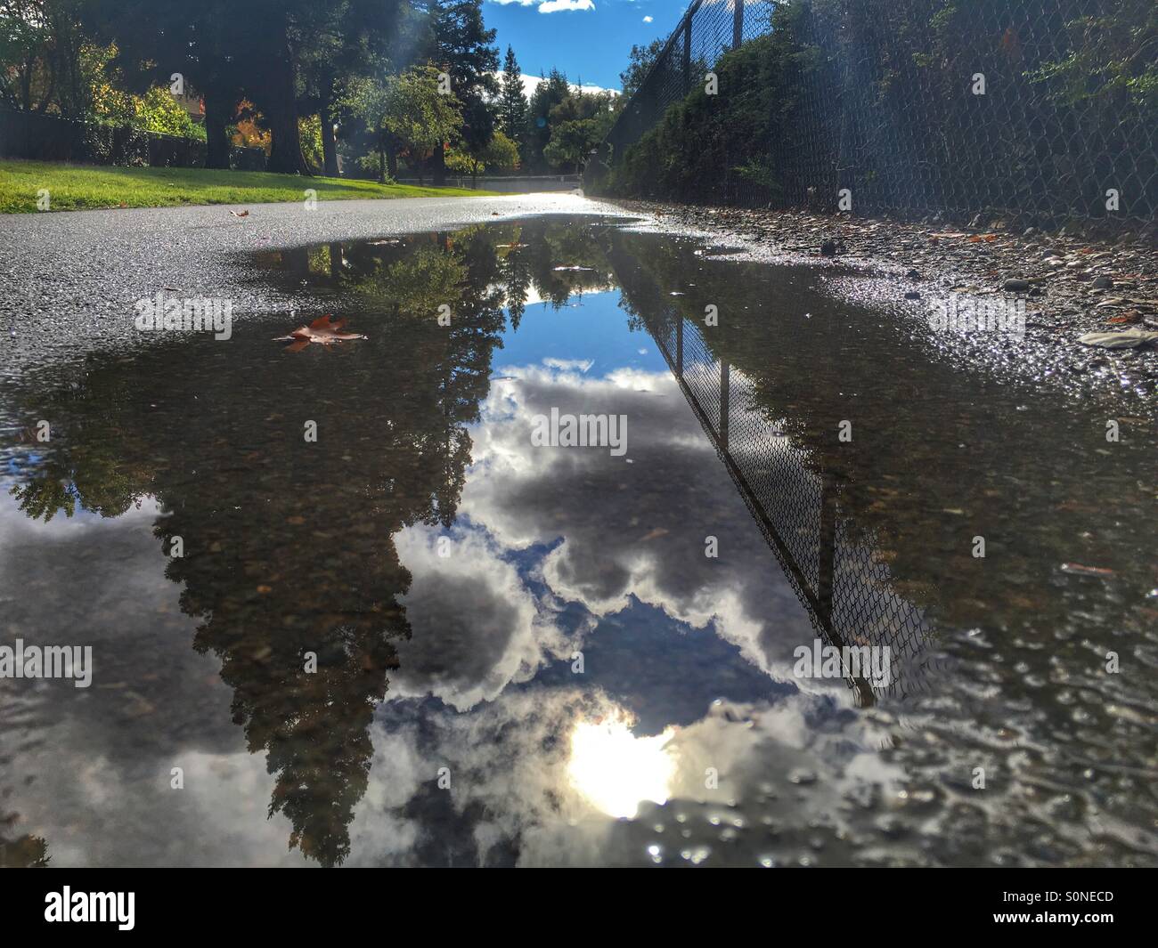 Puddle sun hi-res stock photography and images - Alamy