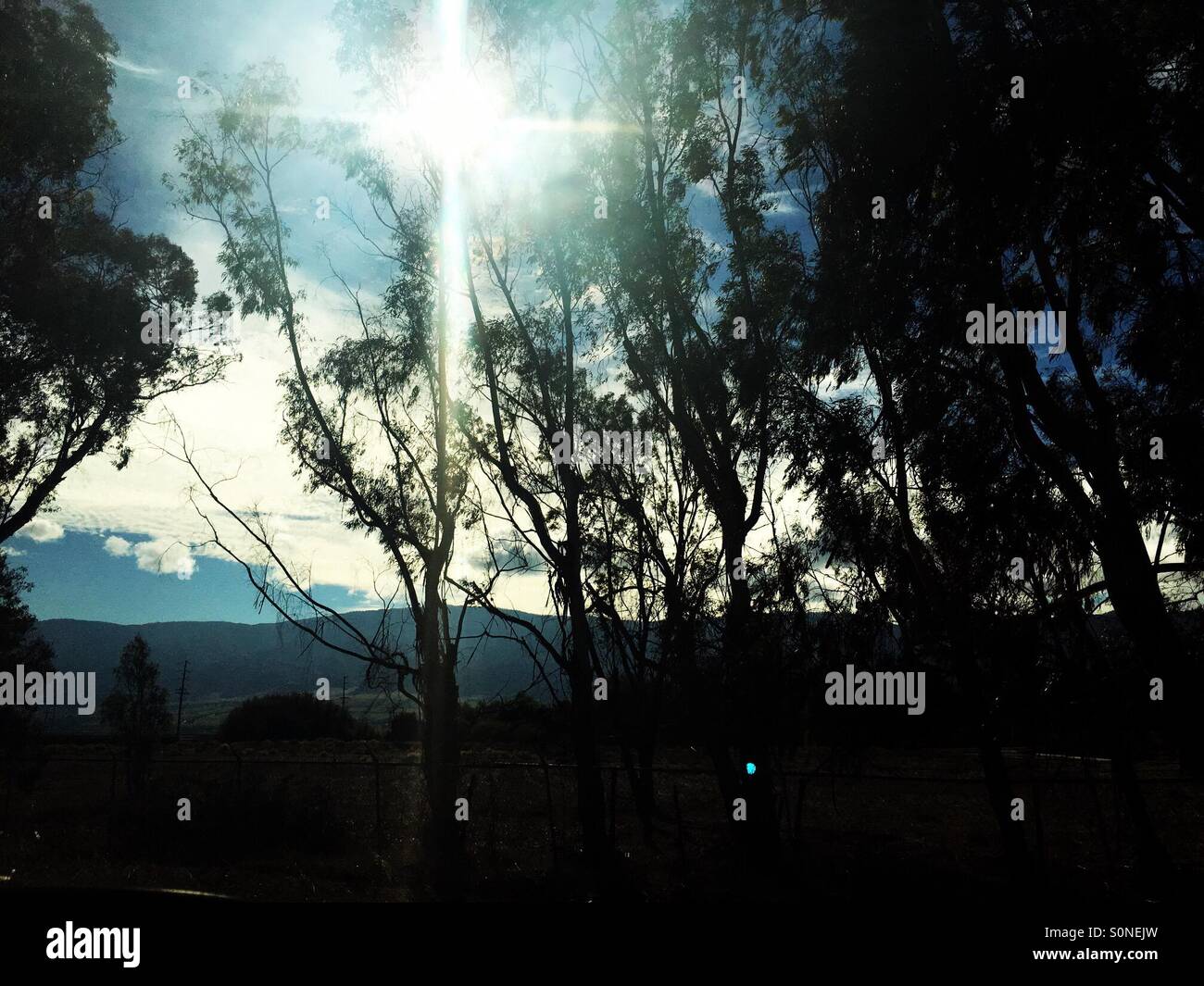 Sun through trees hi-res stock photography and images - Alamy
