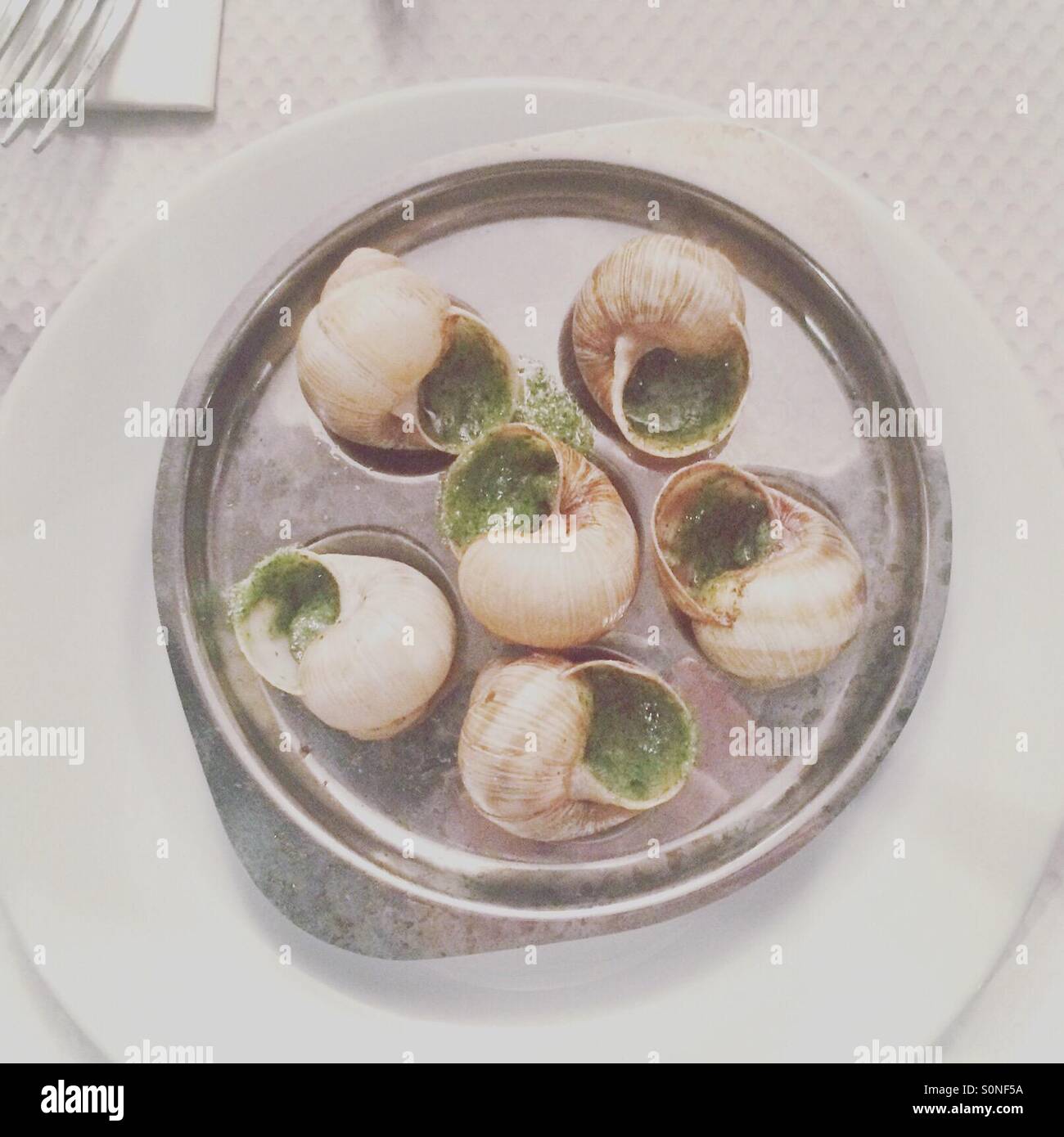 France snails hi-res stock photography and images - Alamy