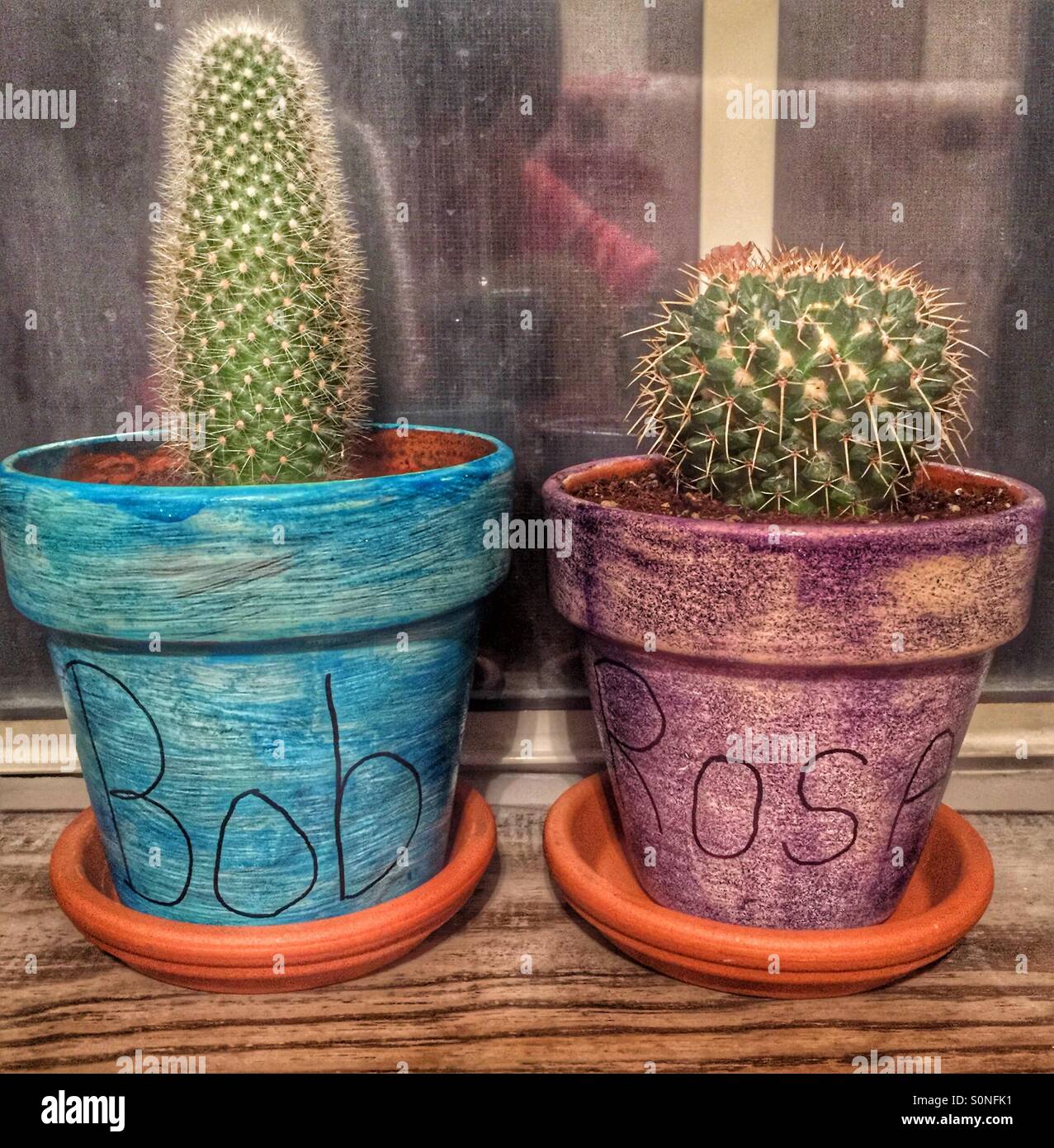 Bob The Cactus High Resolution Stock Photography and Images - Alamy