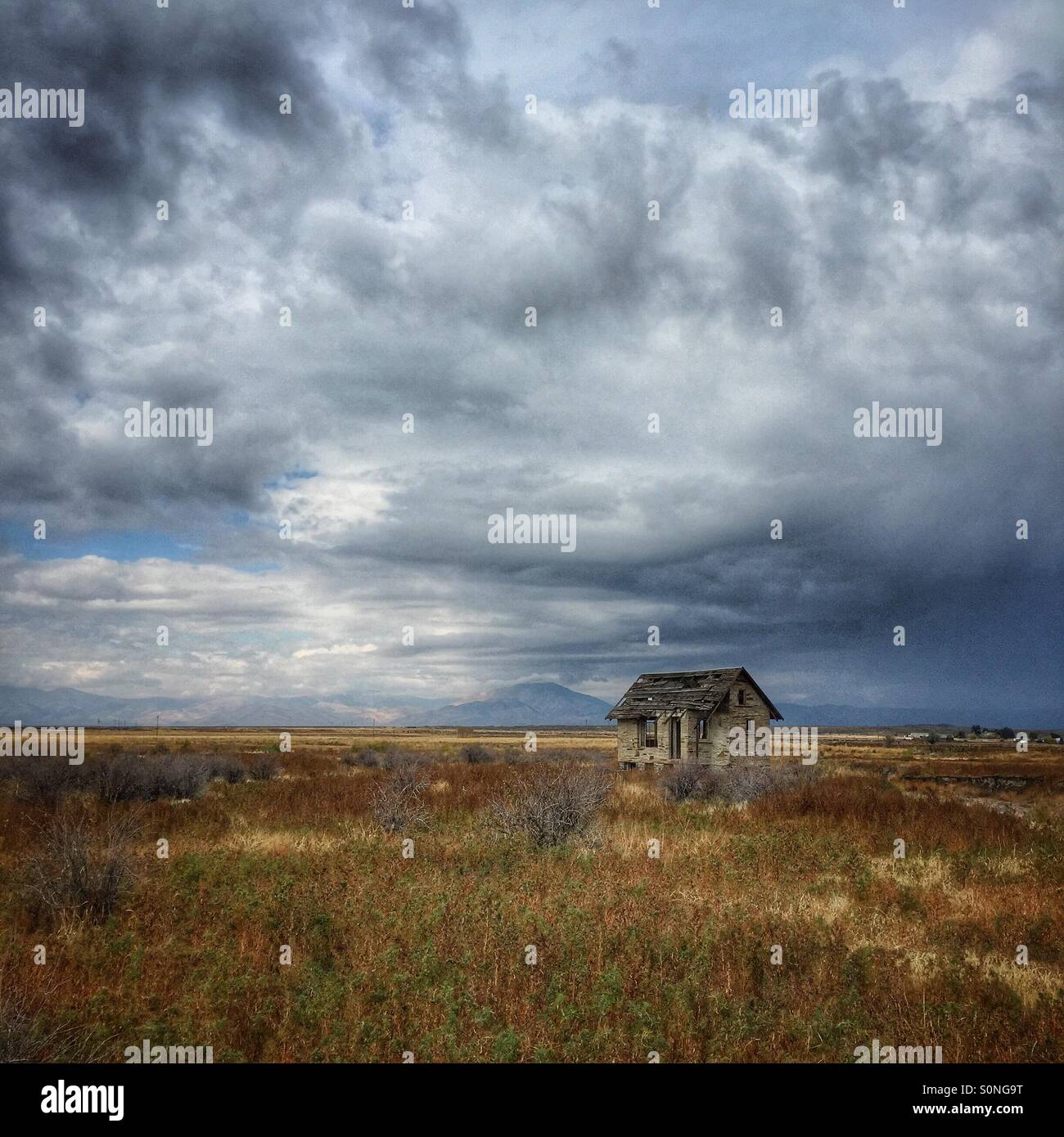Abandoned homestead, Lost River Valley, Idaho, USA Stock Photo - Alamy