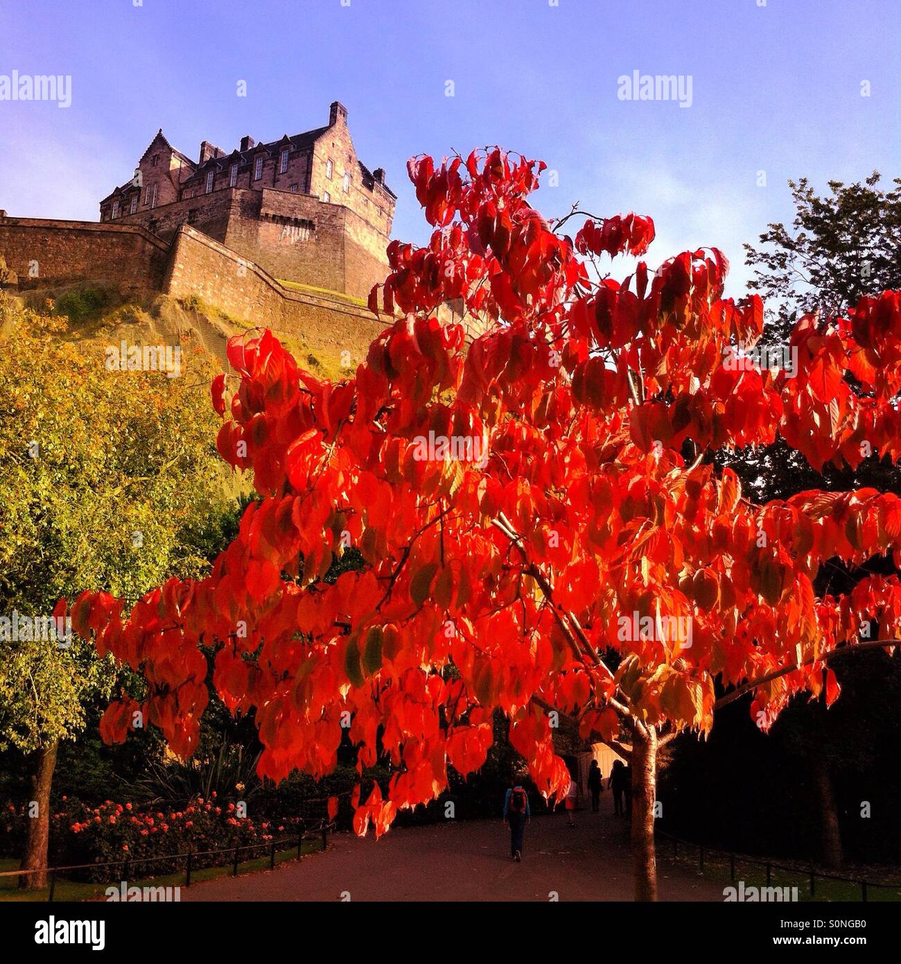 Edinburgh castle from Princes Street gardens, during the fall season ...