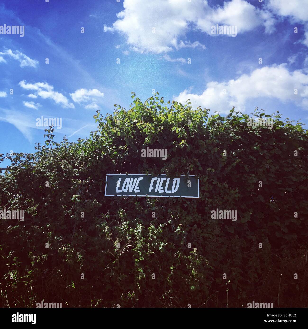 Love field hi-res stock photography and images - Alamy