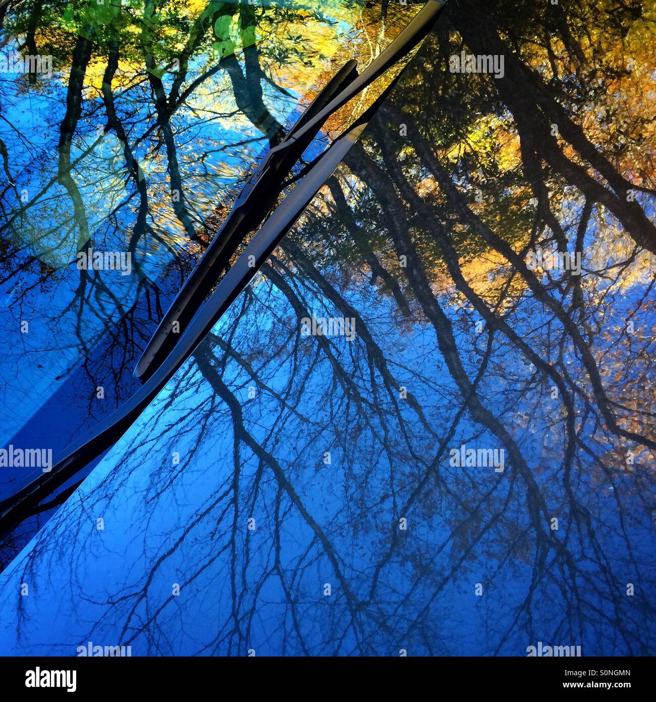 Reflections on a car hi-res stock photography and images - Alamy