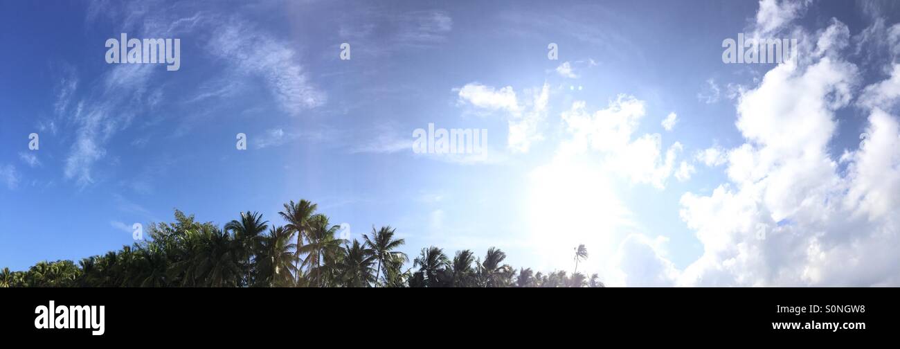 Palm trees in Boracay Stock Photo - Alamy