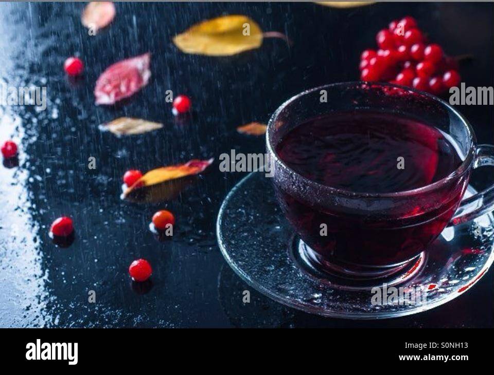 Tea in the rain Stock Photo - Alamy