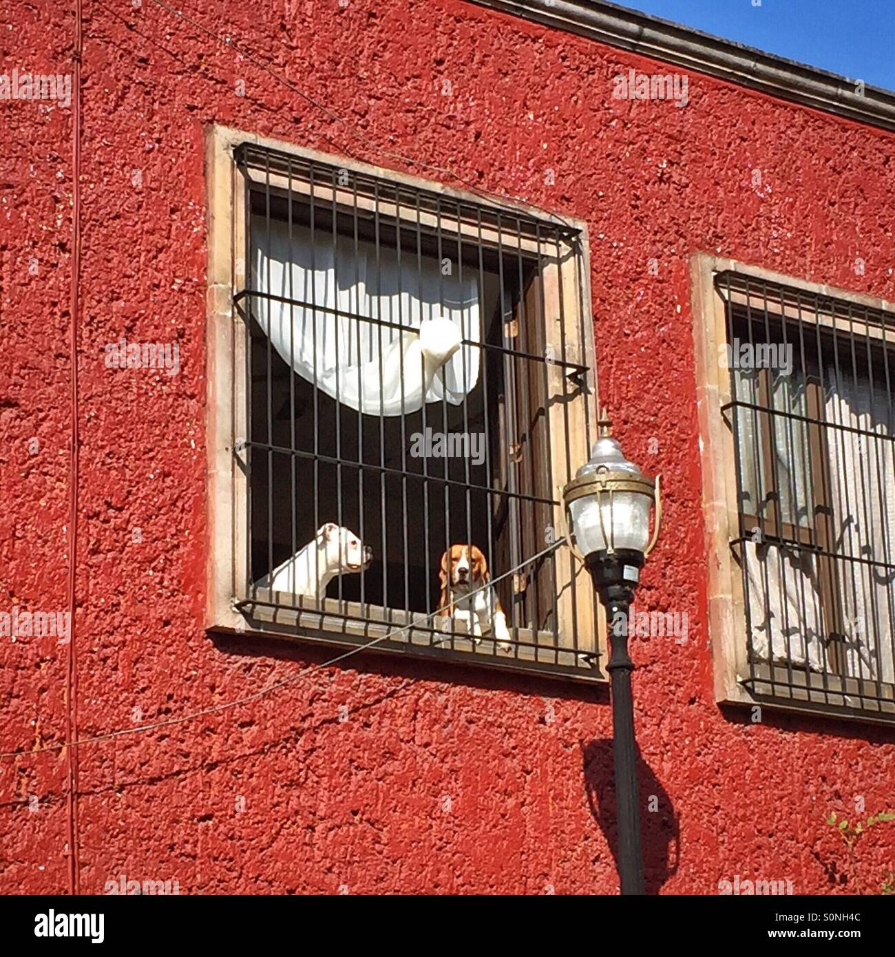 Watching from window hi-res stock photography and images - Alamy