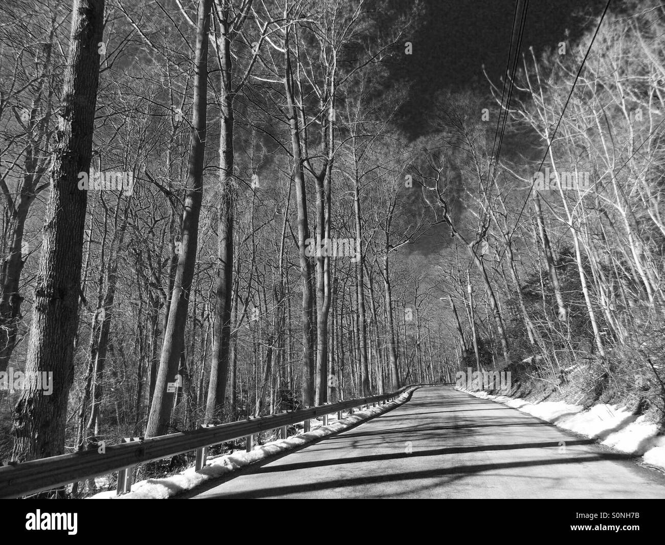 The road less traveled hi-res stock photography and images - Alamy