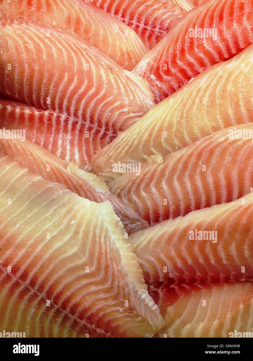Fish fillets, overlapping Stock Photo - Alamy