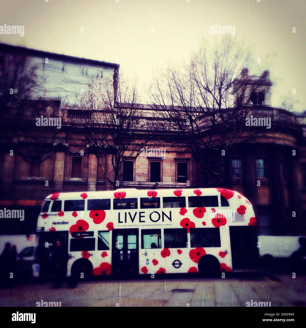 London bus remembrance day hi-res stock photography and images - Alamy