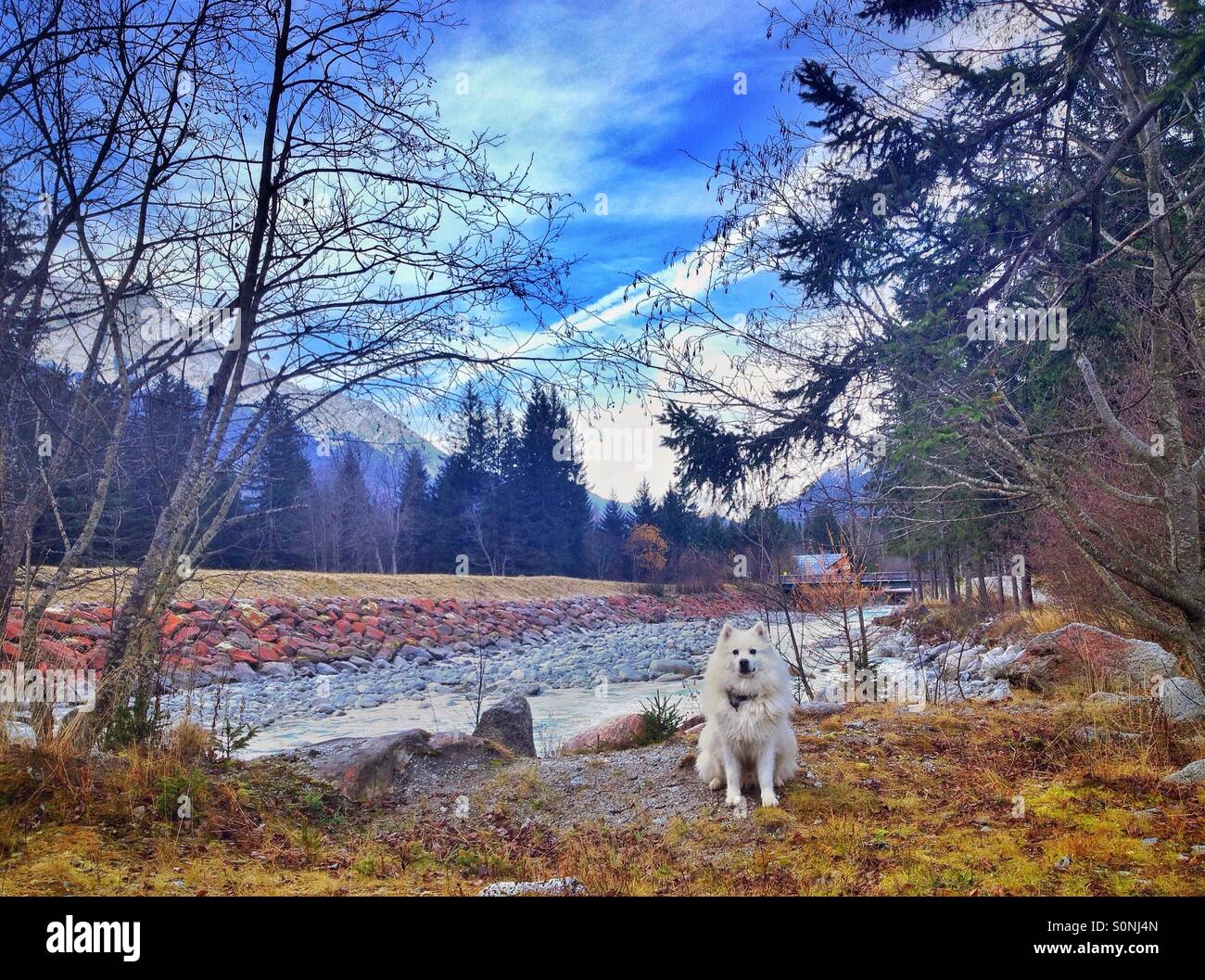 Lesbois hi-res stock photography and images - Alamy