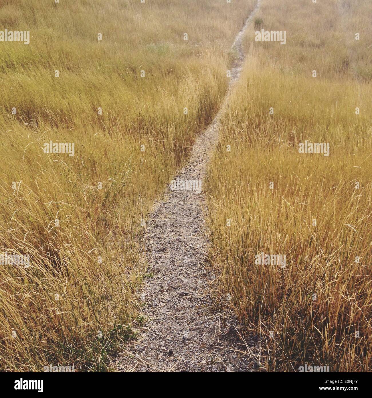 Hillside journey hi-res stock photography and images - Alamy