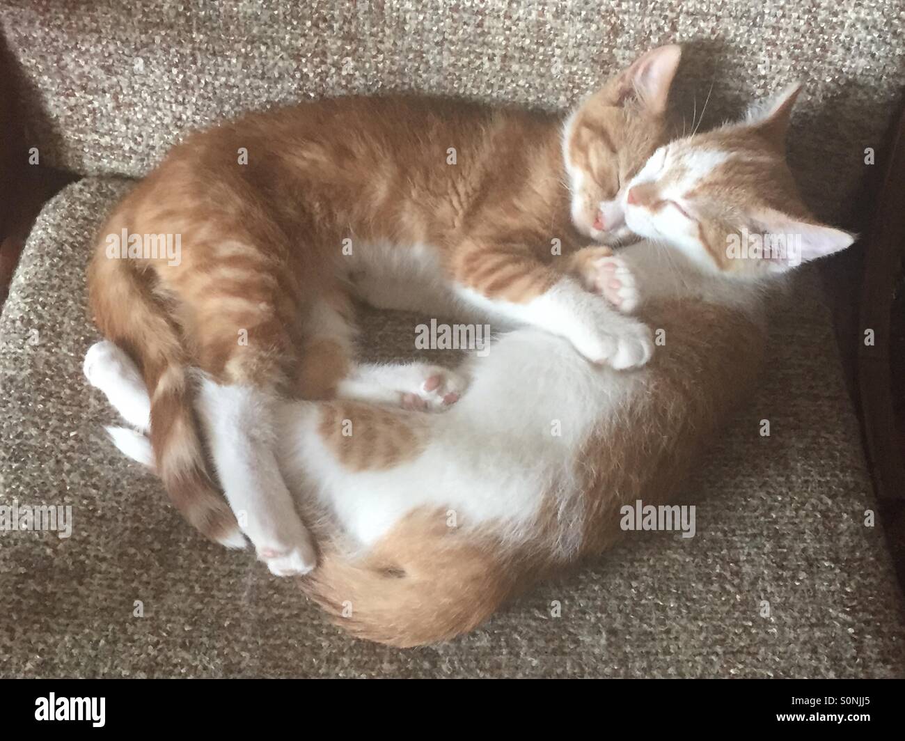 Very best friends hi-res stock photography and images - Alamy