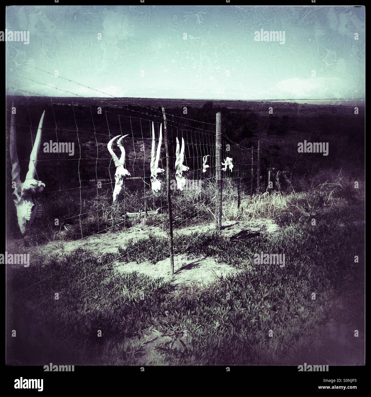 Skeleton fence hi-res stock photography and images - Alamy