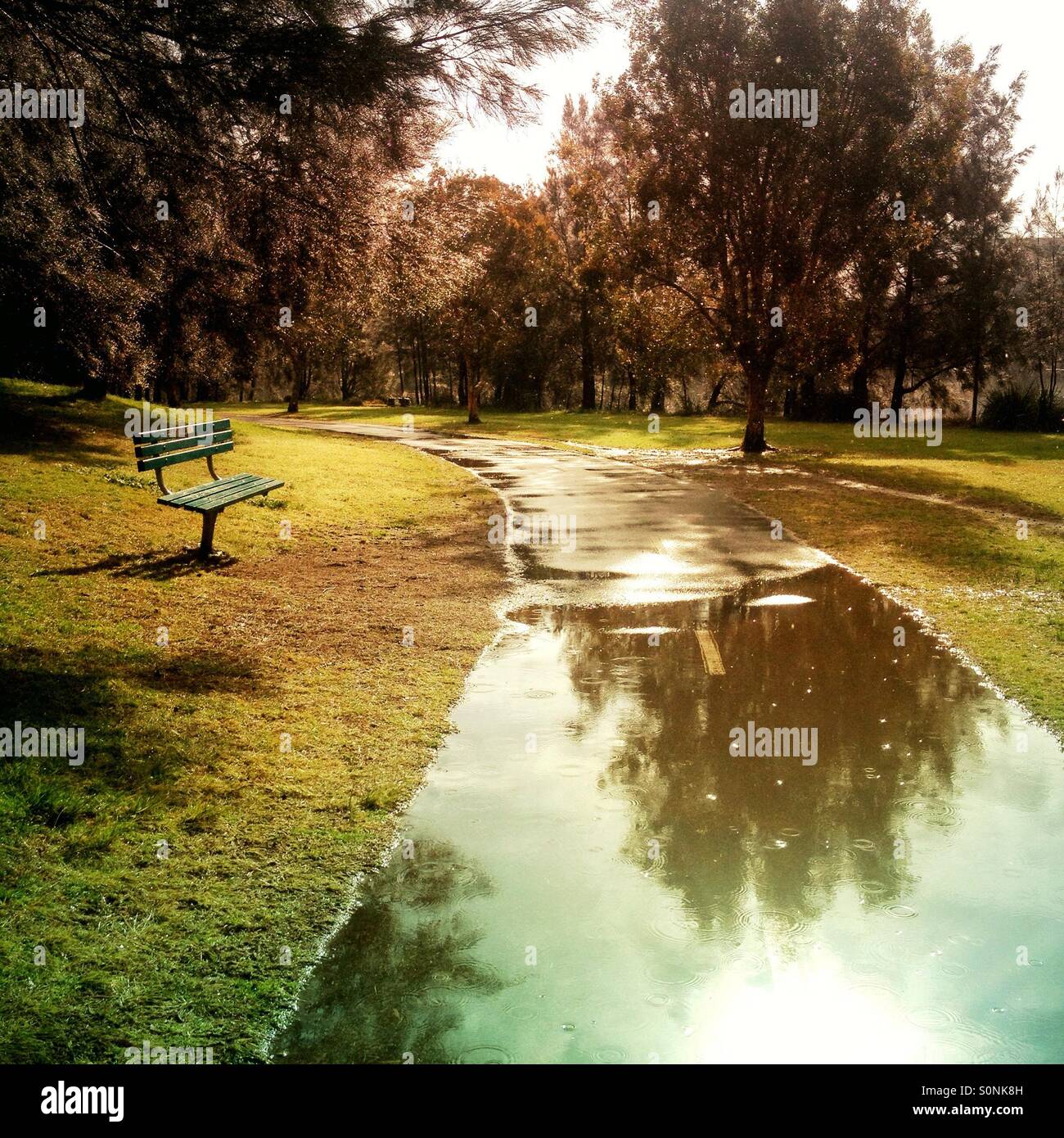 Wet mornings hi-res stock photography and images - Alamy