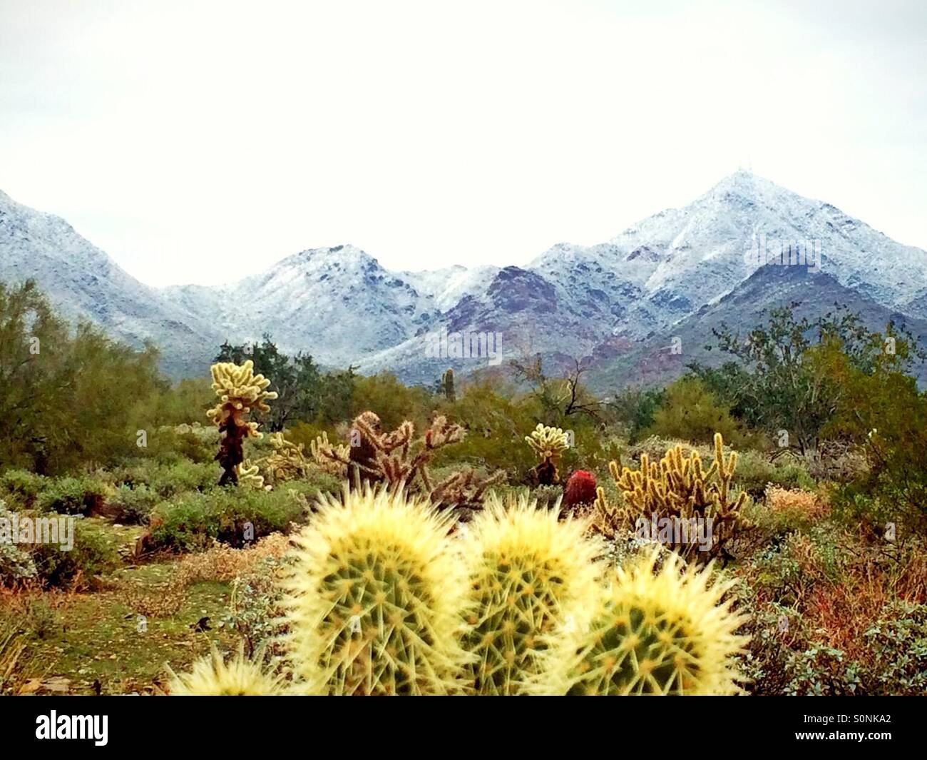 Winter in the desert Stock Photo - Alamy