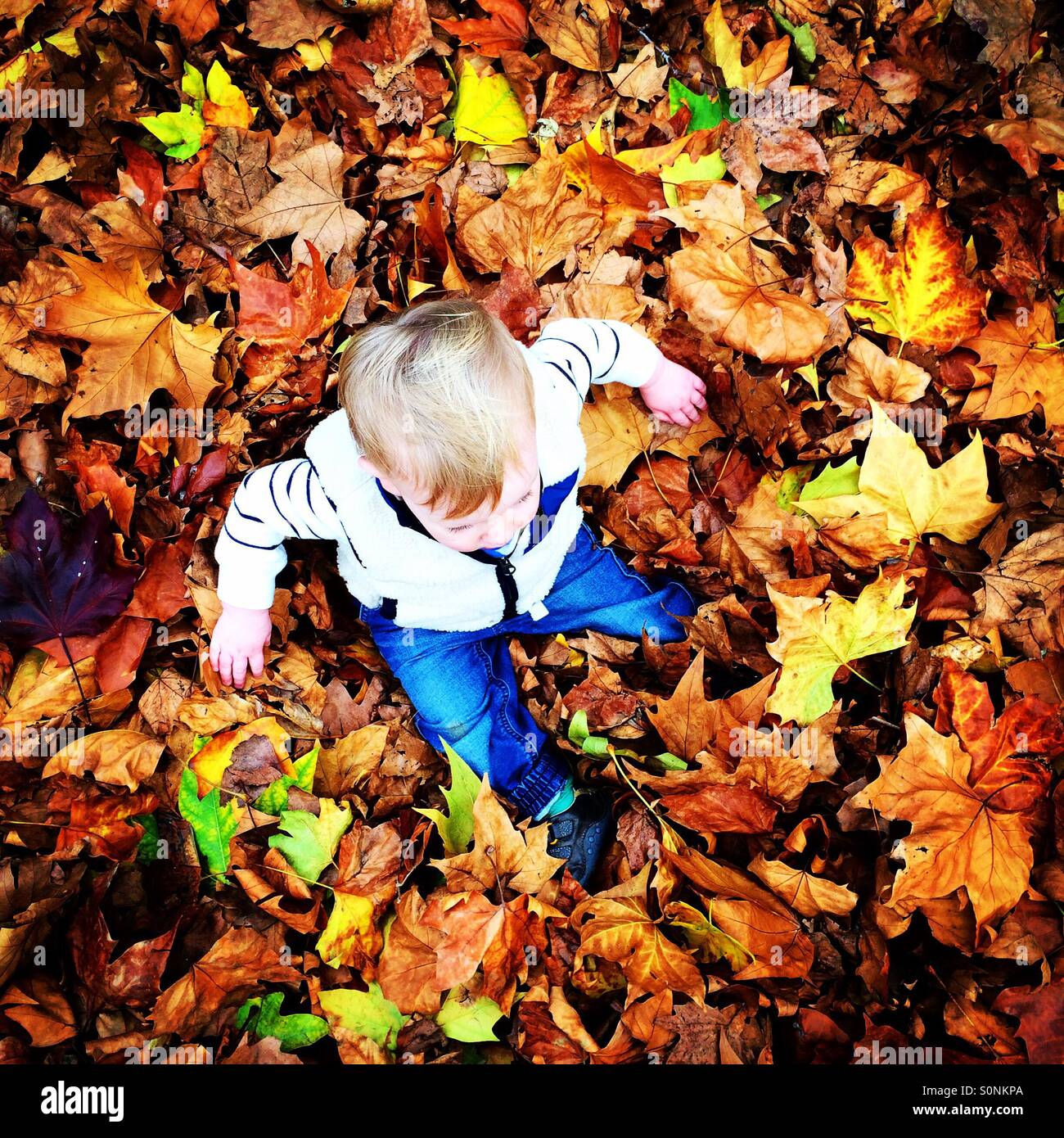Boy playing outside with leaves hi-res stock photography and images - Alamy