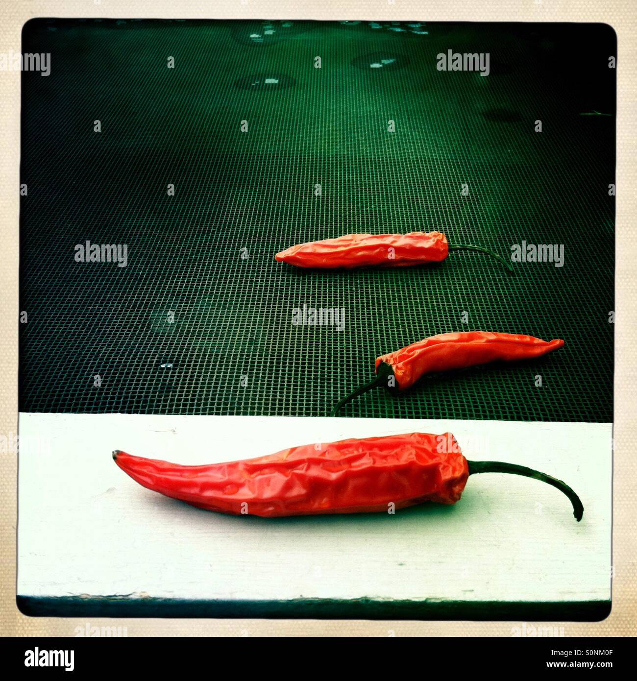 Shrivel shriveled hi-res stock photography and images - Alamy