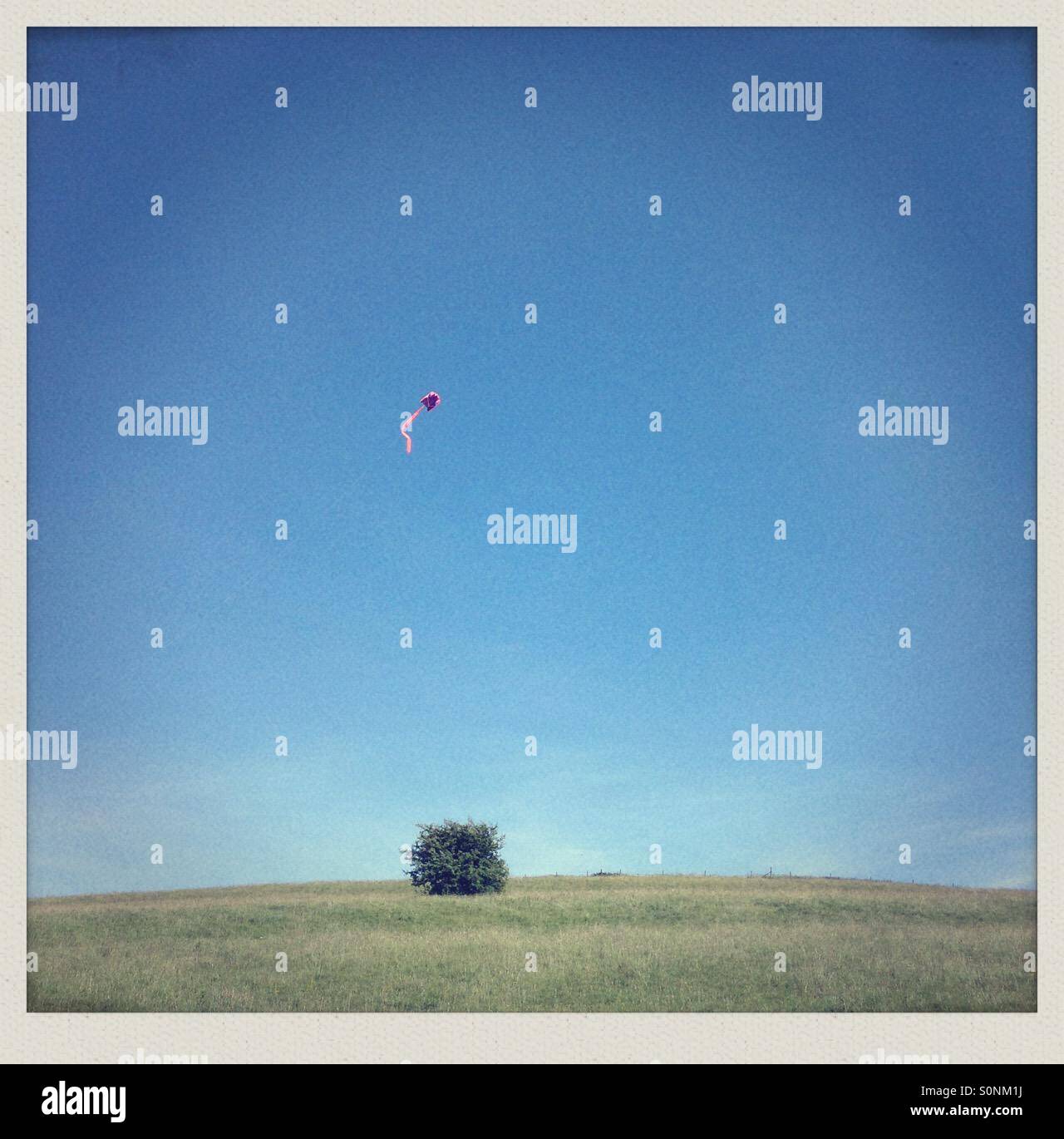 Go fly a kite hi-res stock photography and images - Alamy