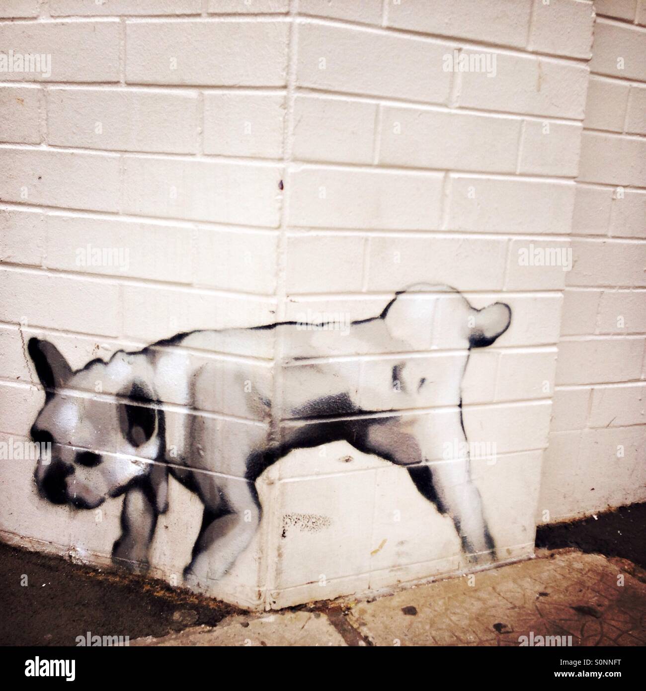 Street art of dog having a wee Stock Photo - Alamy