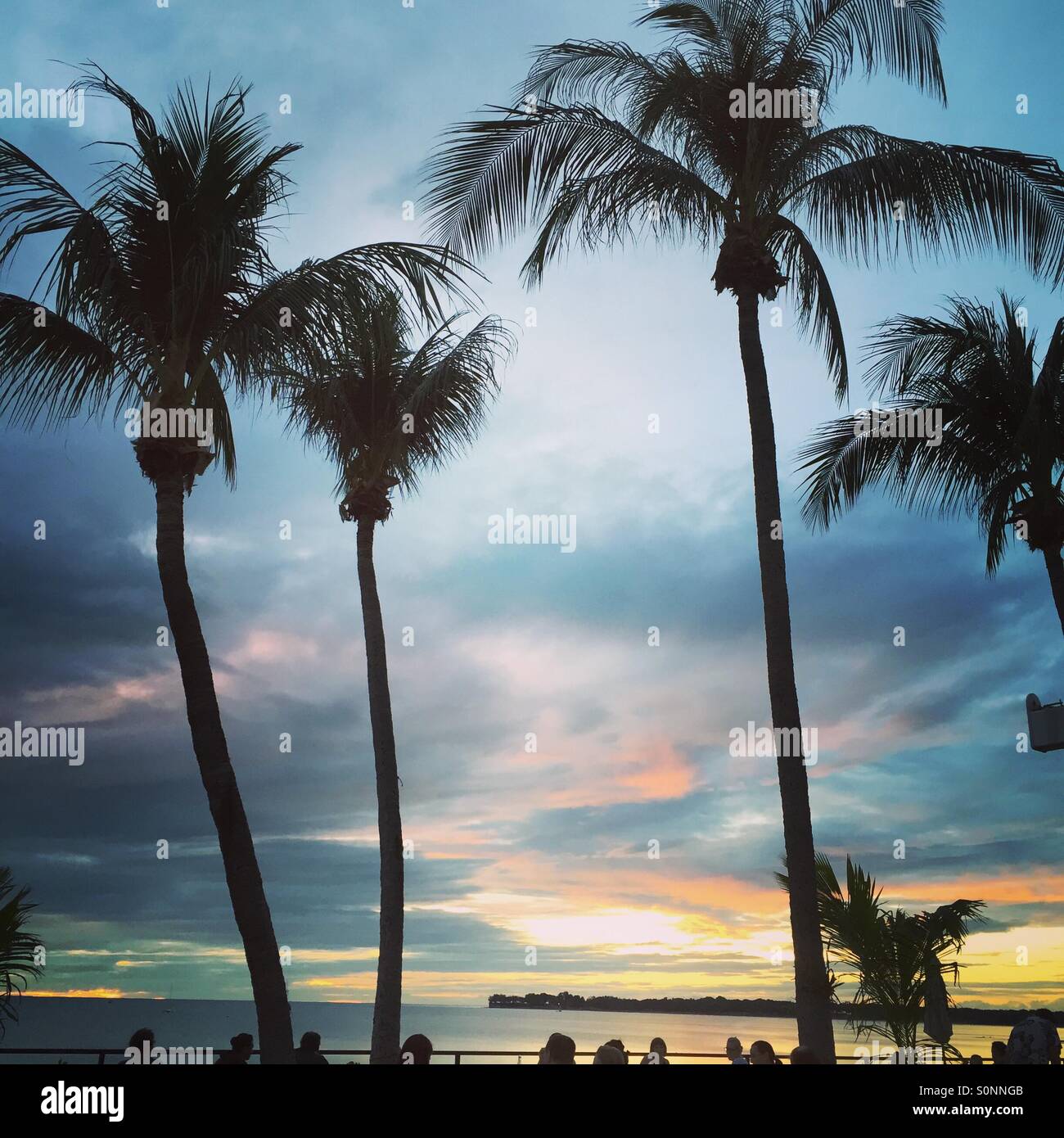 NT,Darwin, Palms, Sunset, Top End, Outback Asutralia Stock Photo - Alamy