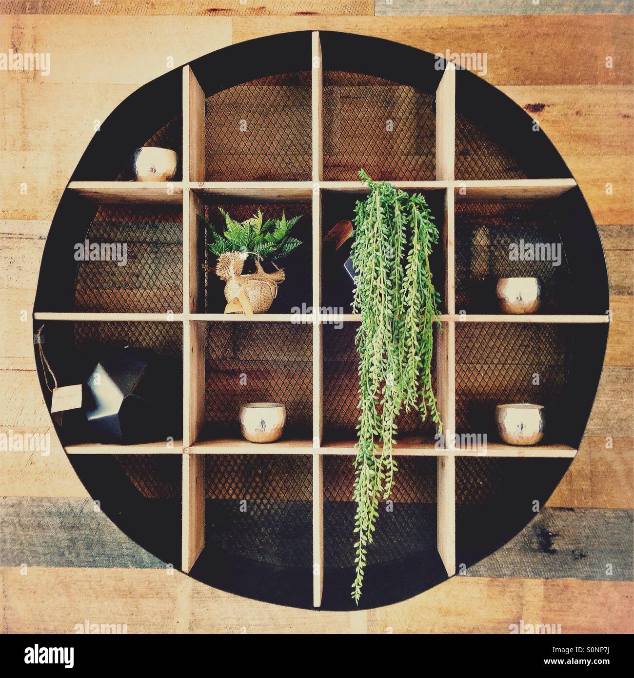 Lifestyle free standing wall shelf with succulent plants and ornaments ...