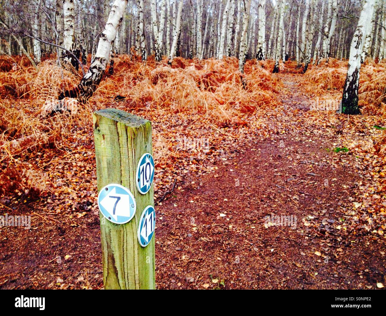 Public footpath numbers, Sutton Heath, Suffolk, UK Stock Photo - Alamy