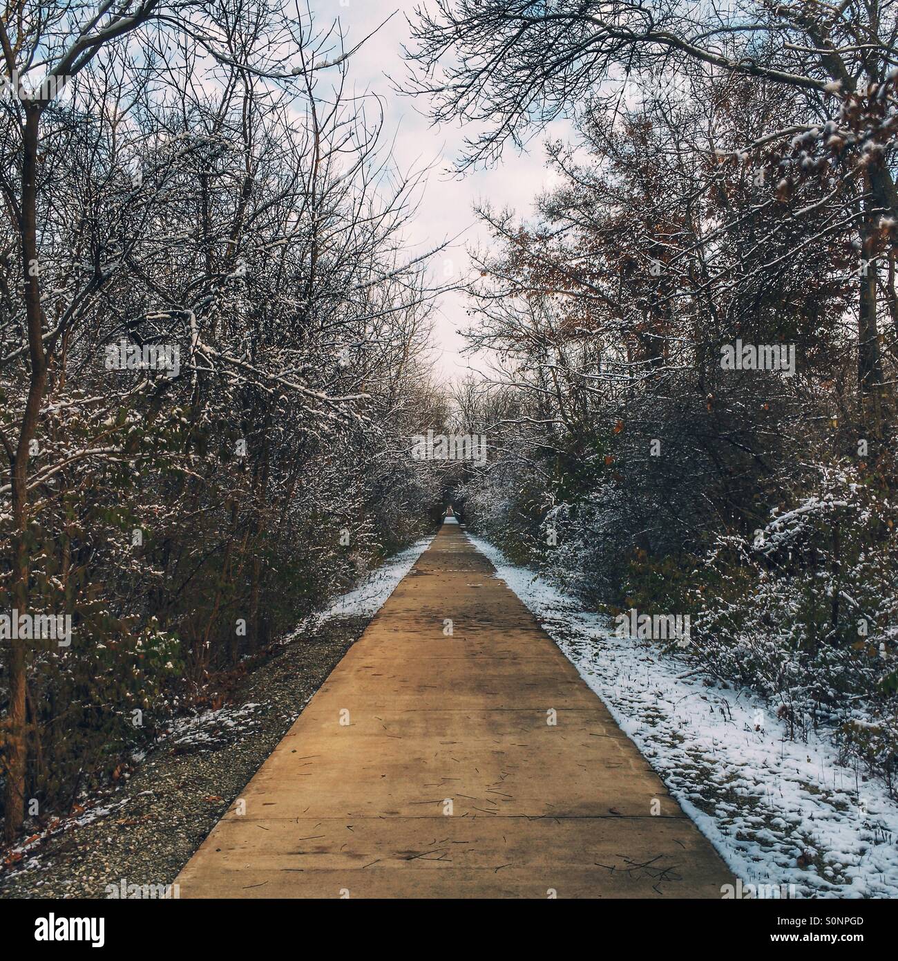 path through the woods Stock Photo - Alamy