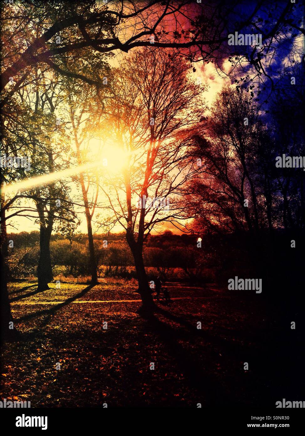 Kirkstall gardens hi-res stock photography and images - Alamy