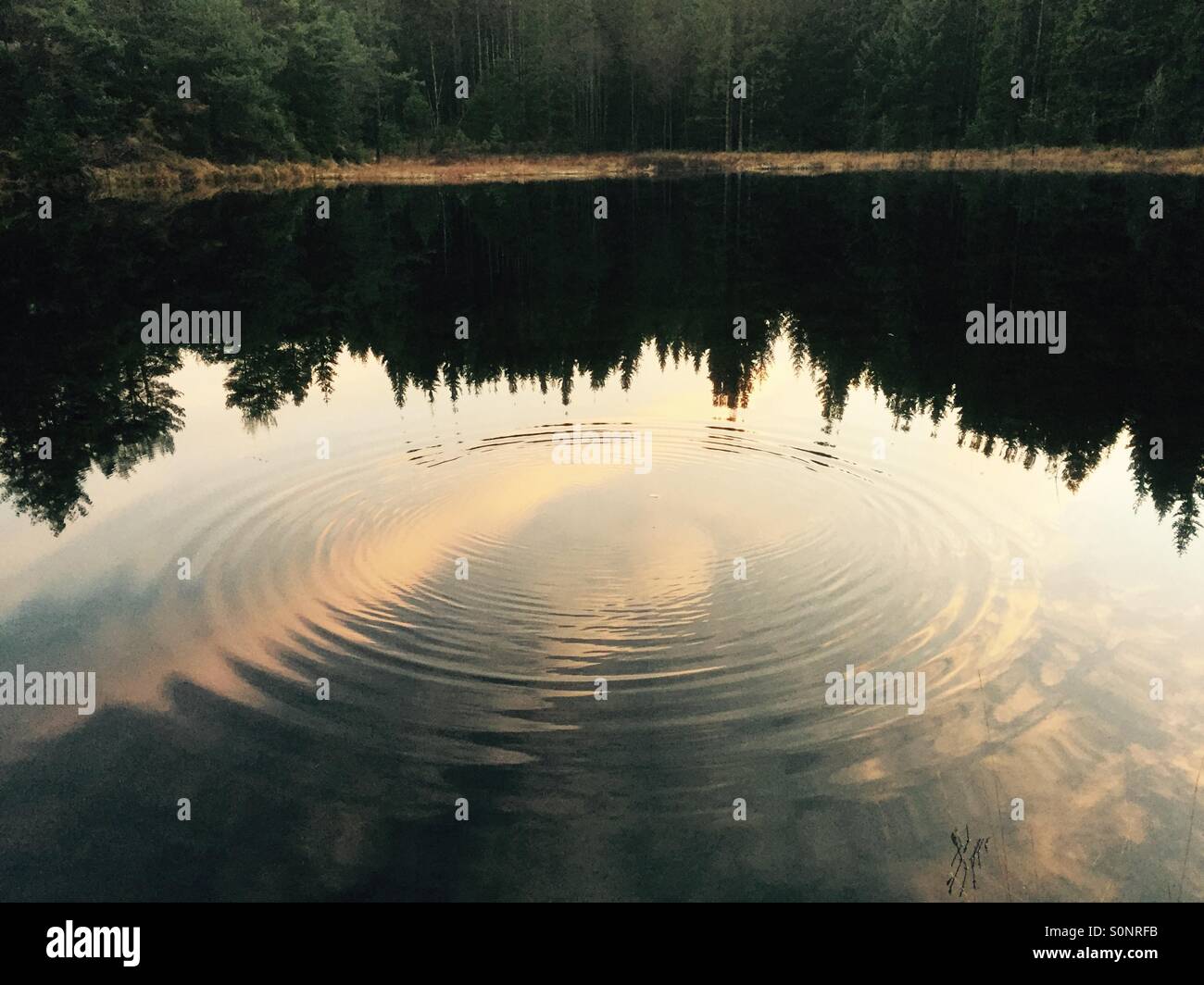 Ripples pond hi-res stock photography and images - Alamy