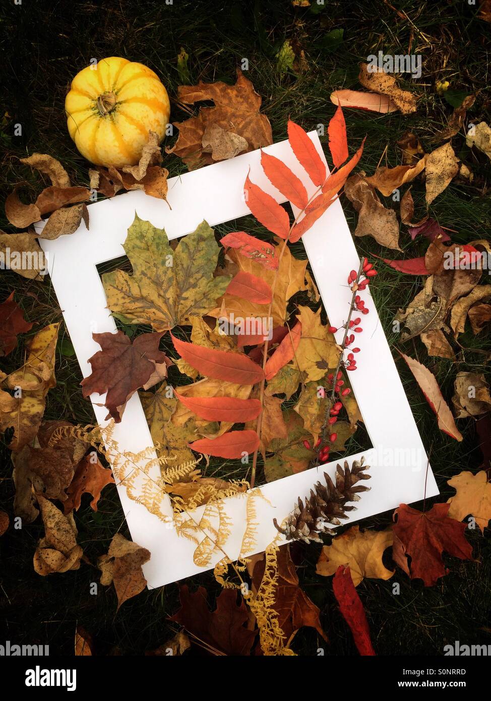 Signs of autumn hi-res stock photography and images - Alamy