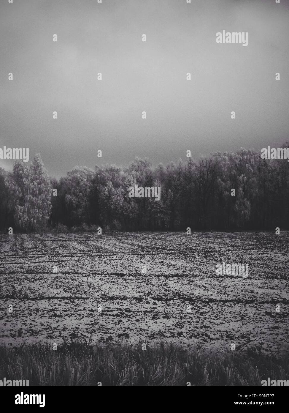 Air breathing cold hi-res stock photography and images - Alamy