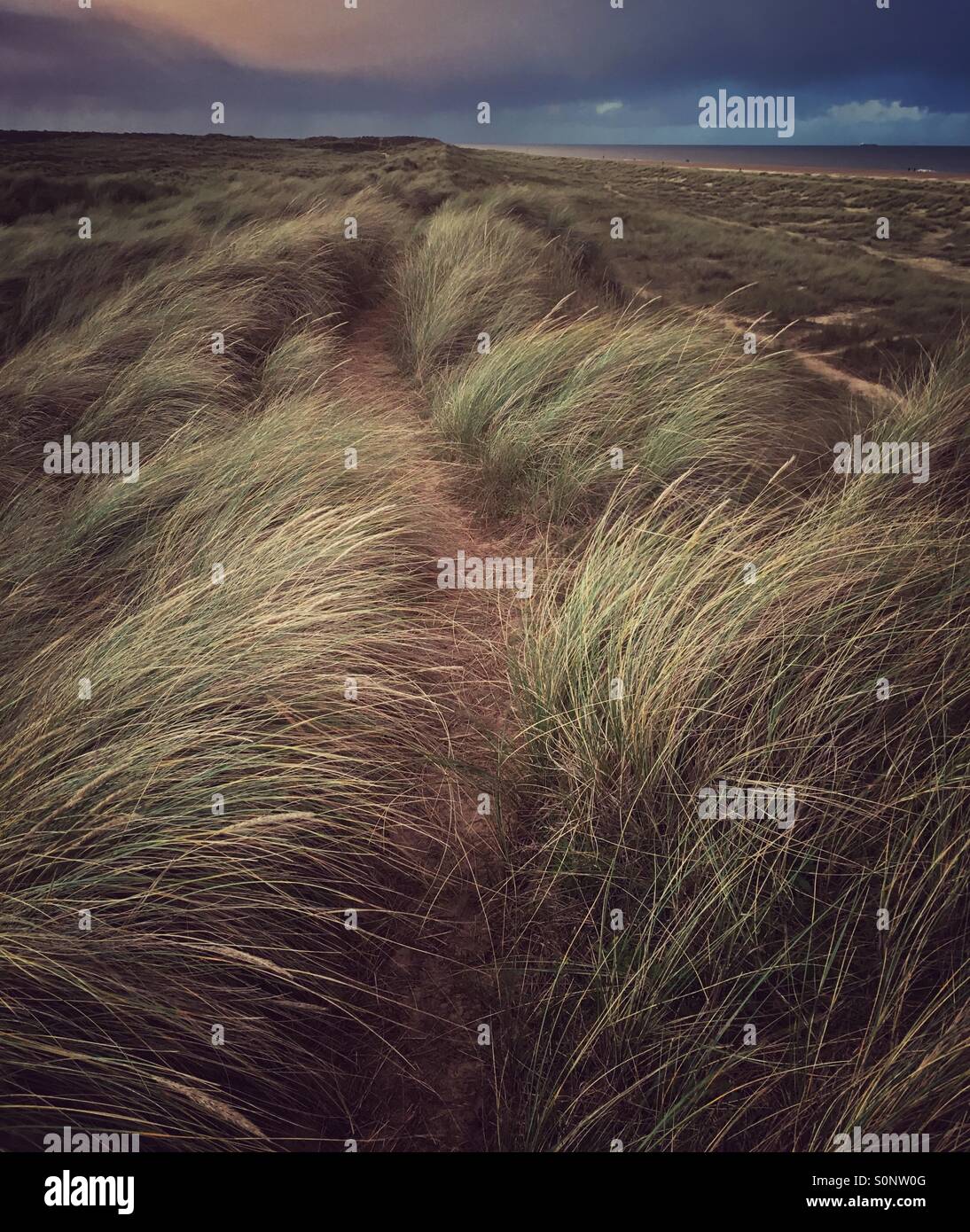 Winterton on sea norfolk dunes hi-res stock photography and images - Alamy