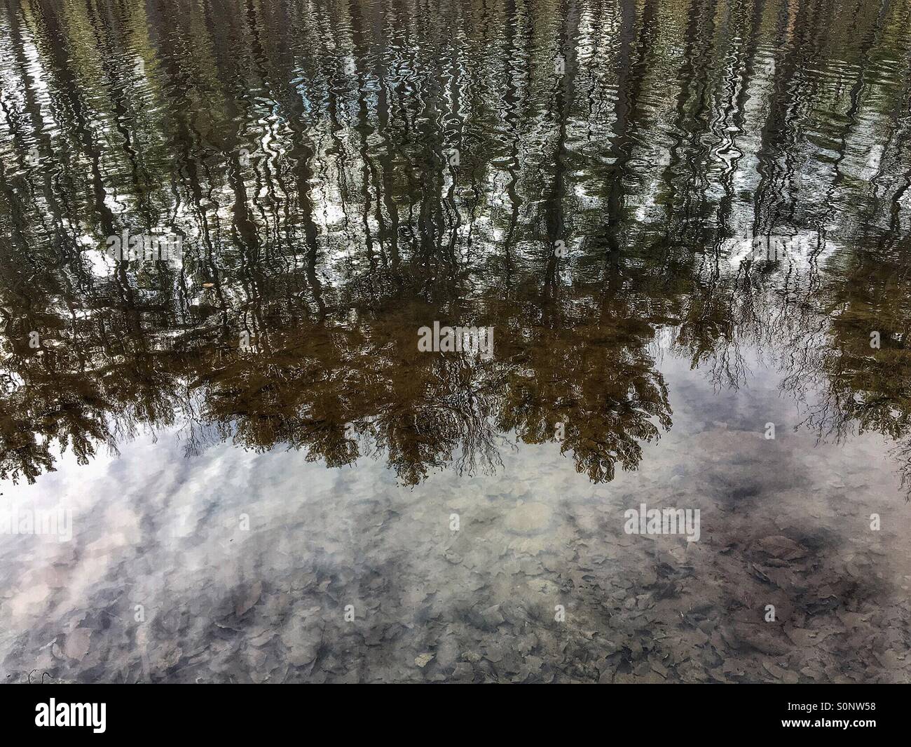 Deeper reflection hi-res stock photography and images - Alamy