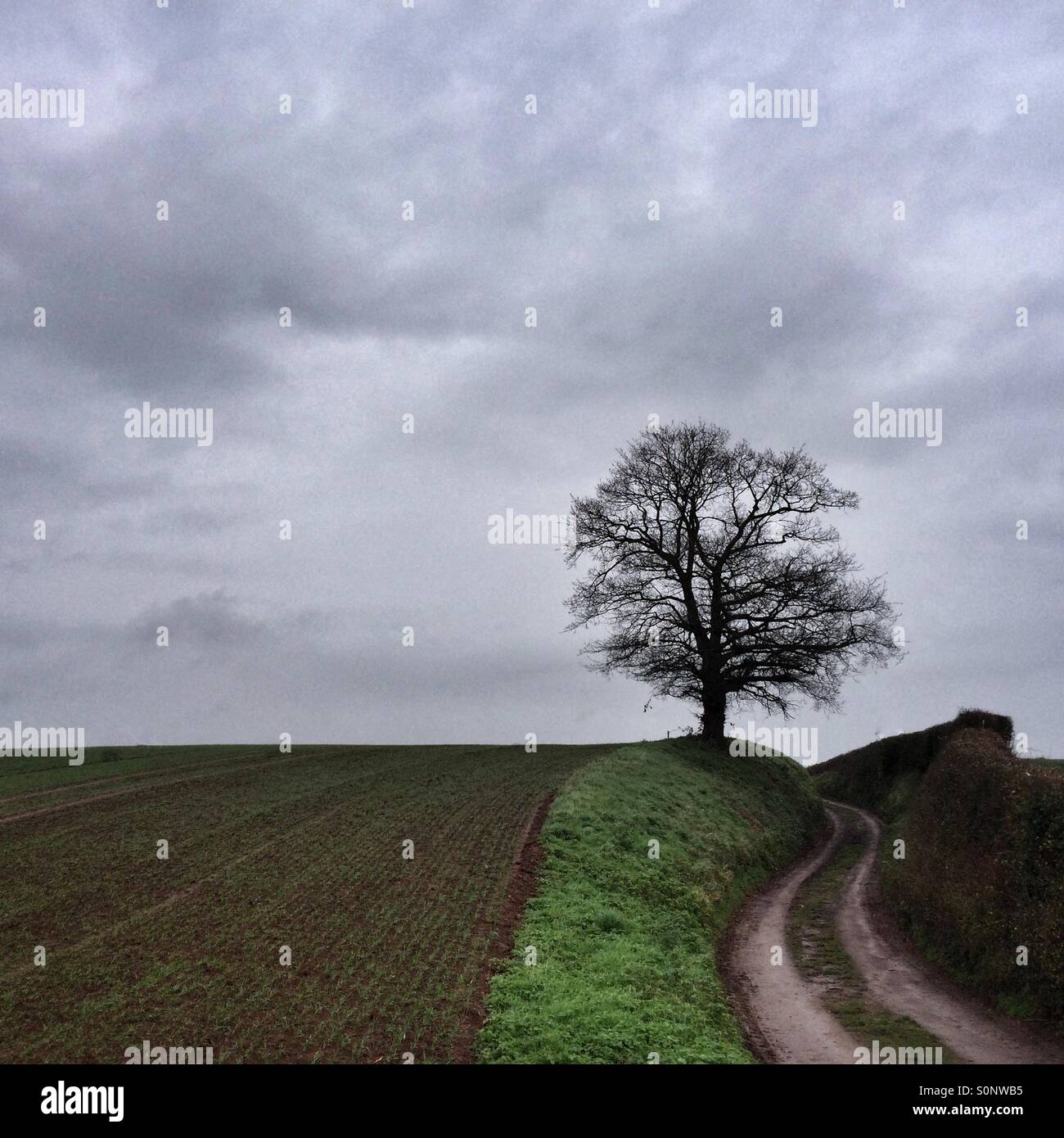 Wet windy hi-res stock photography and images - Alamy